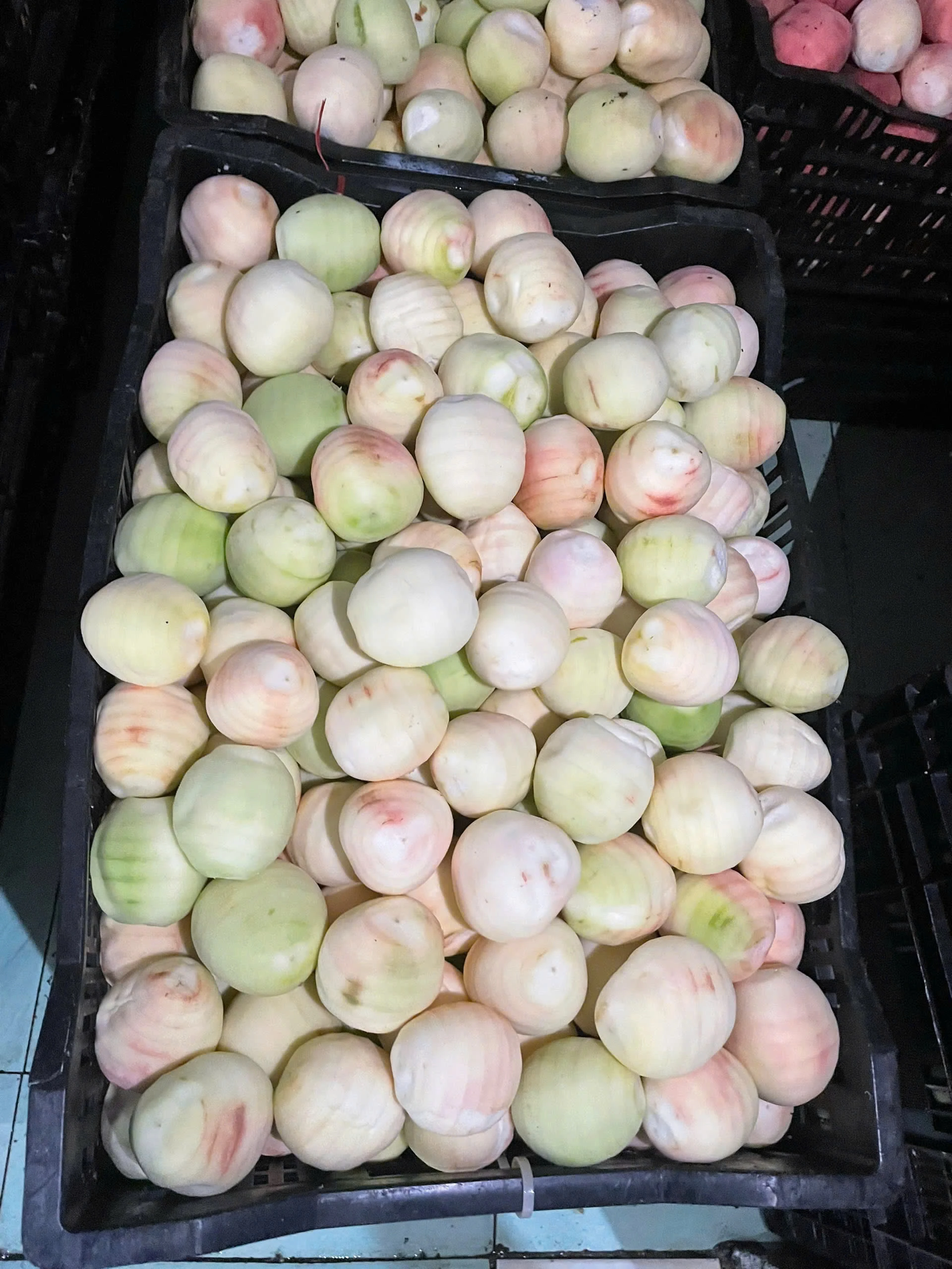 FROZEN PASSION FRUIT PEEL